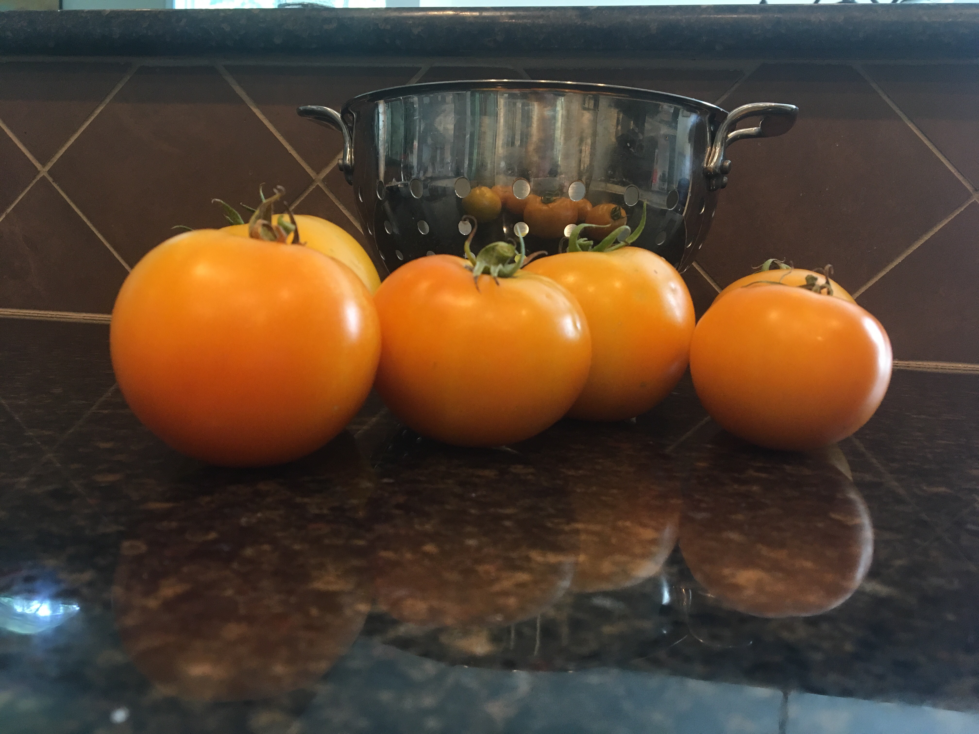 Growing Well in the Garden – Extension Master Gardener Volunteers of ...