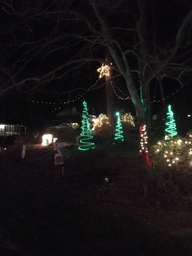 wandamapleholiday – Extension Master Gardener Volunteers of Durham County
