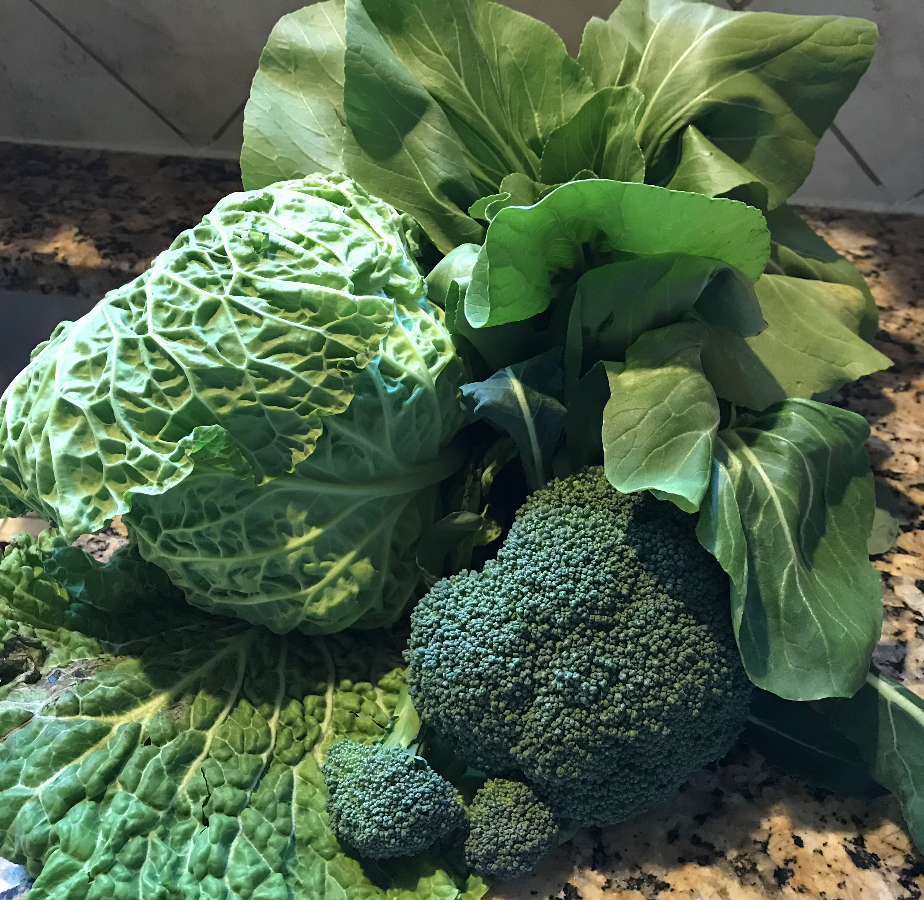 Garden Veggies Year Round: One Gardener’s Calendar – Extension Master ...