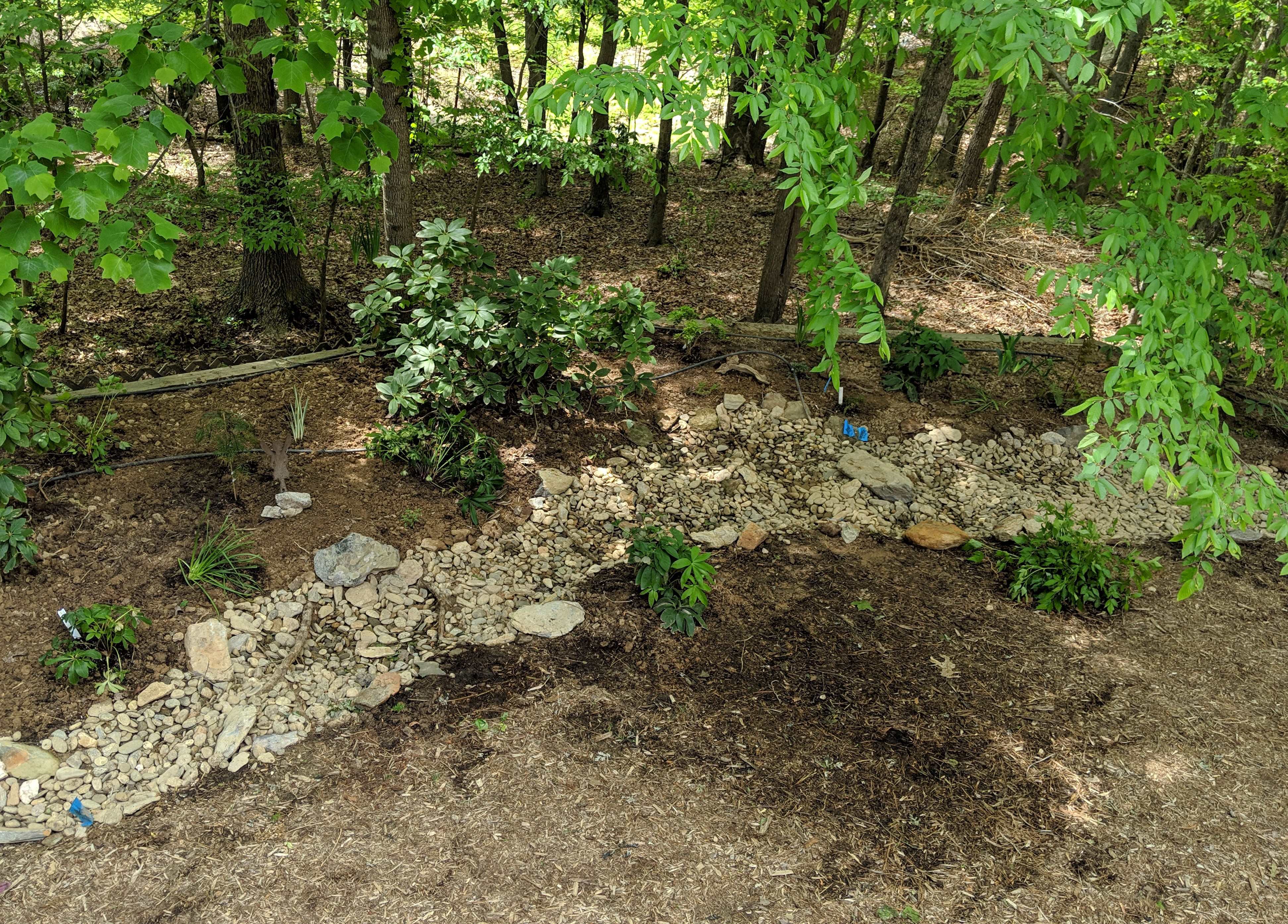 DIY: Building a Dry Stream – Extension Master Gardener Volunteers of ...