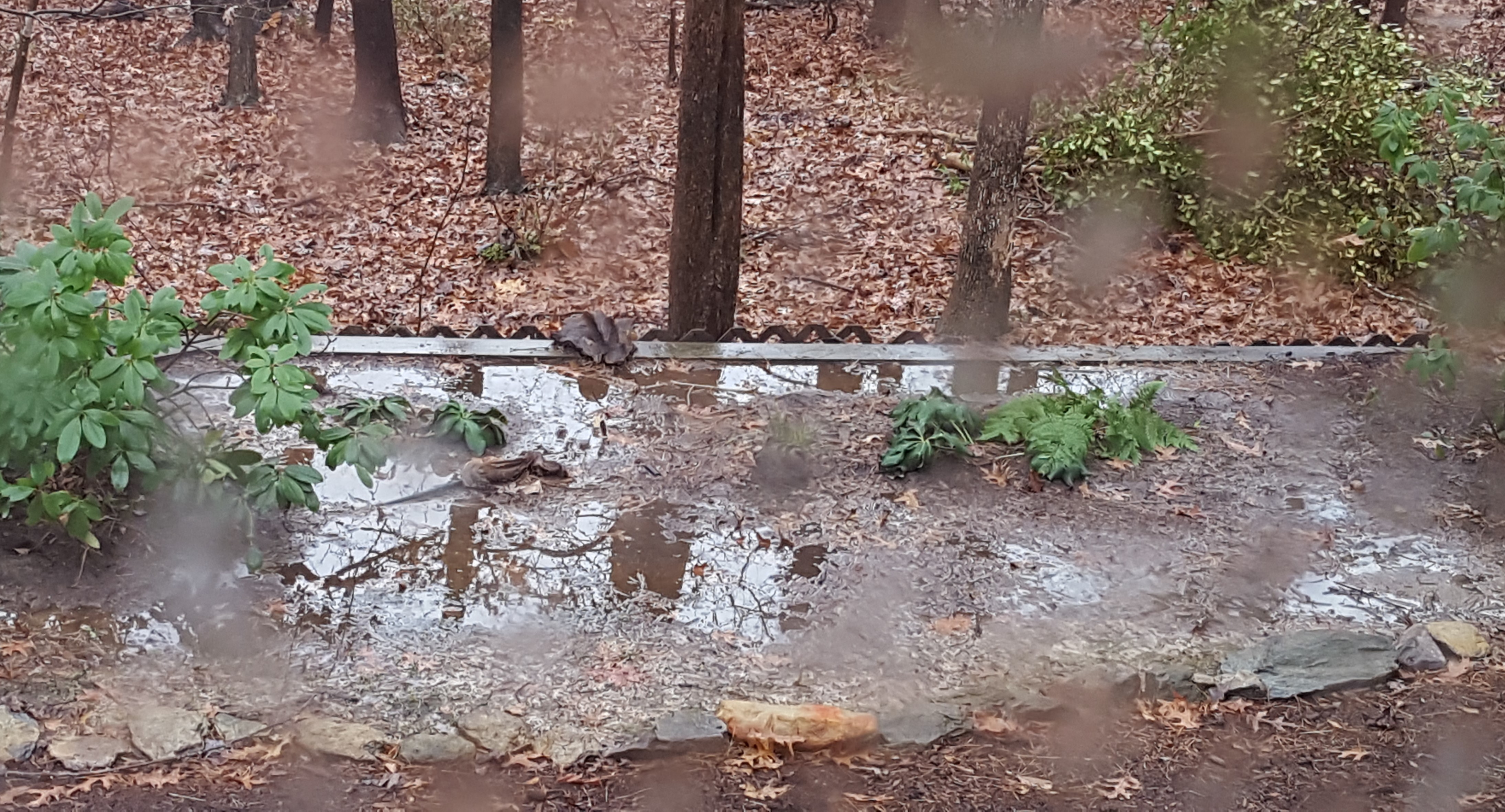 DIY: Building a Dry Stream – Extension Master Gardener Volunteers of ...