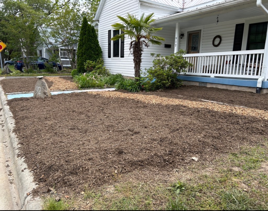 Ten Tips for Direct Sowing Cool Season Spring Flowers. Start Now ...