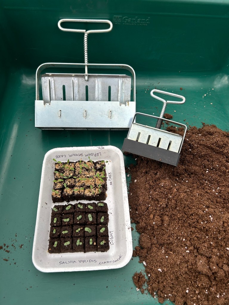 What I Love About Starting Seeds With Soil Blocks – Extension Master ...