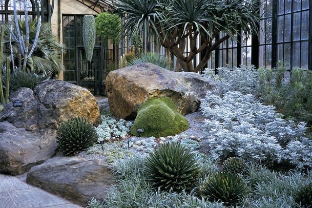 Silver in the Garden