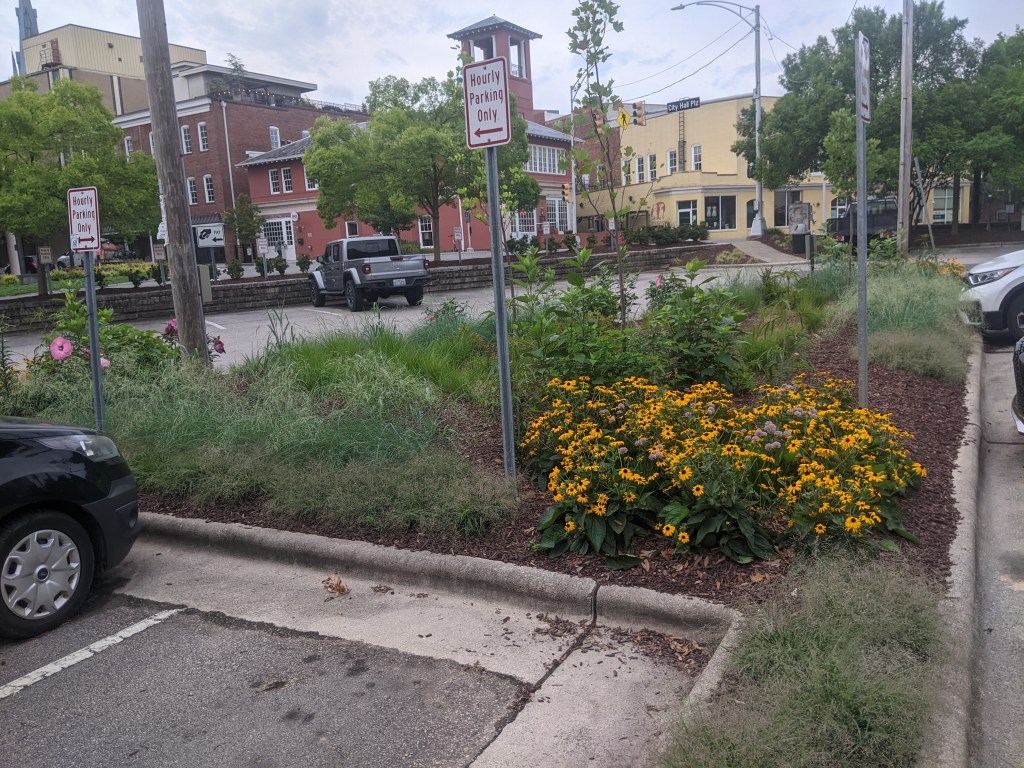 Bringing Plants of the Piedmont back to Downtown Durham, NC