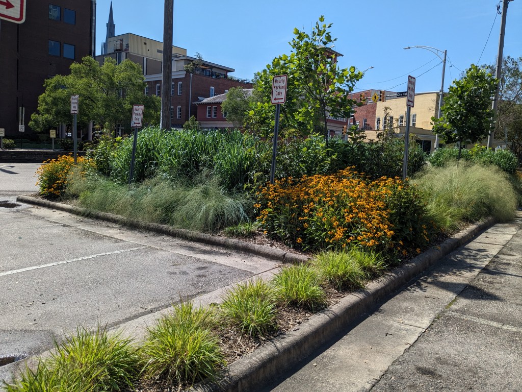 Bringing Plants of the Piedmont back to Downtown Durham, NC