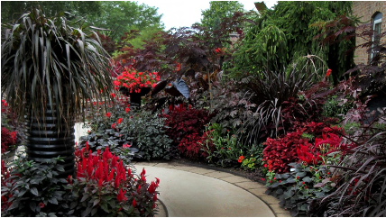 Embracing the Dark: Ideas for Styling a “Goth Garden” – Extension ...