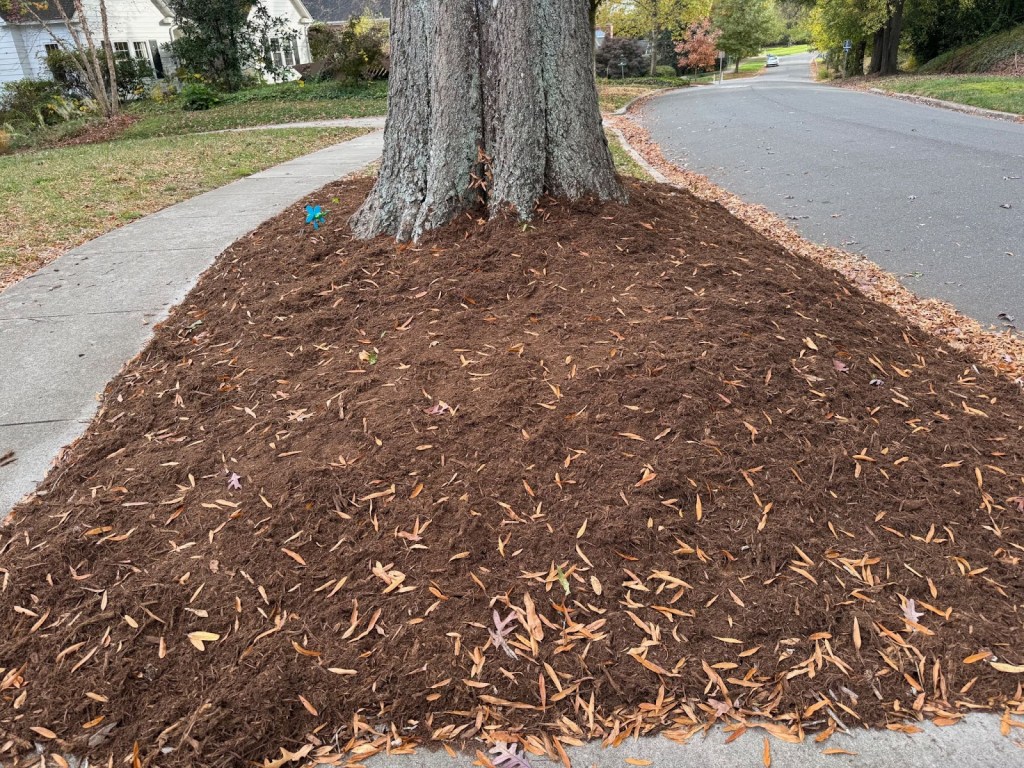 Mulch Matters: Understanding Materials and Methods – Extension Master ...