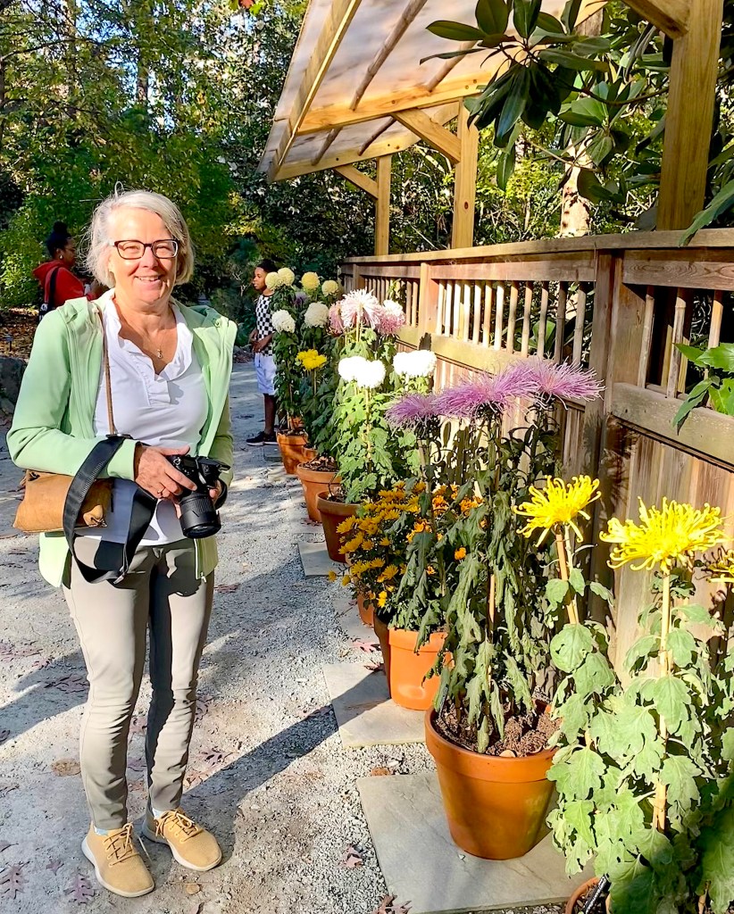 It’s A Brand New Year! Why Not Plan to Grow a New Fall Flower ...